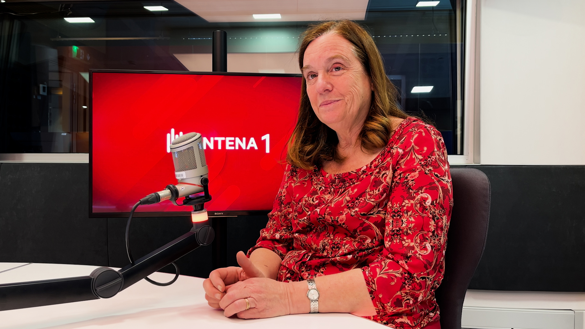 Isabel Jonet faz o rescaldo da campanha do Banco Alimentar Contra a ...