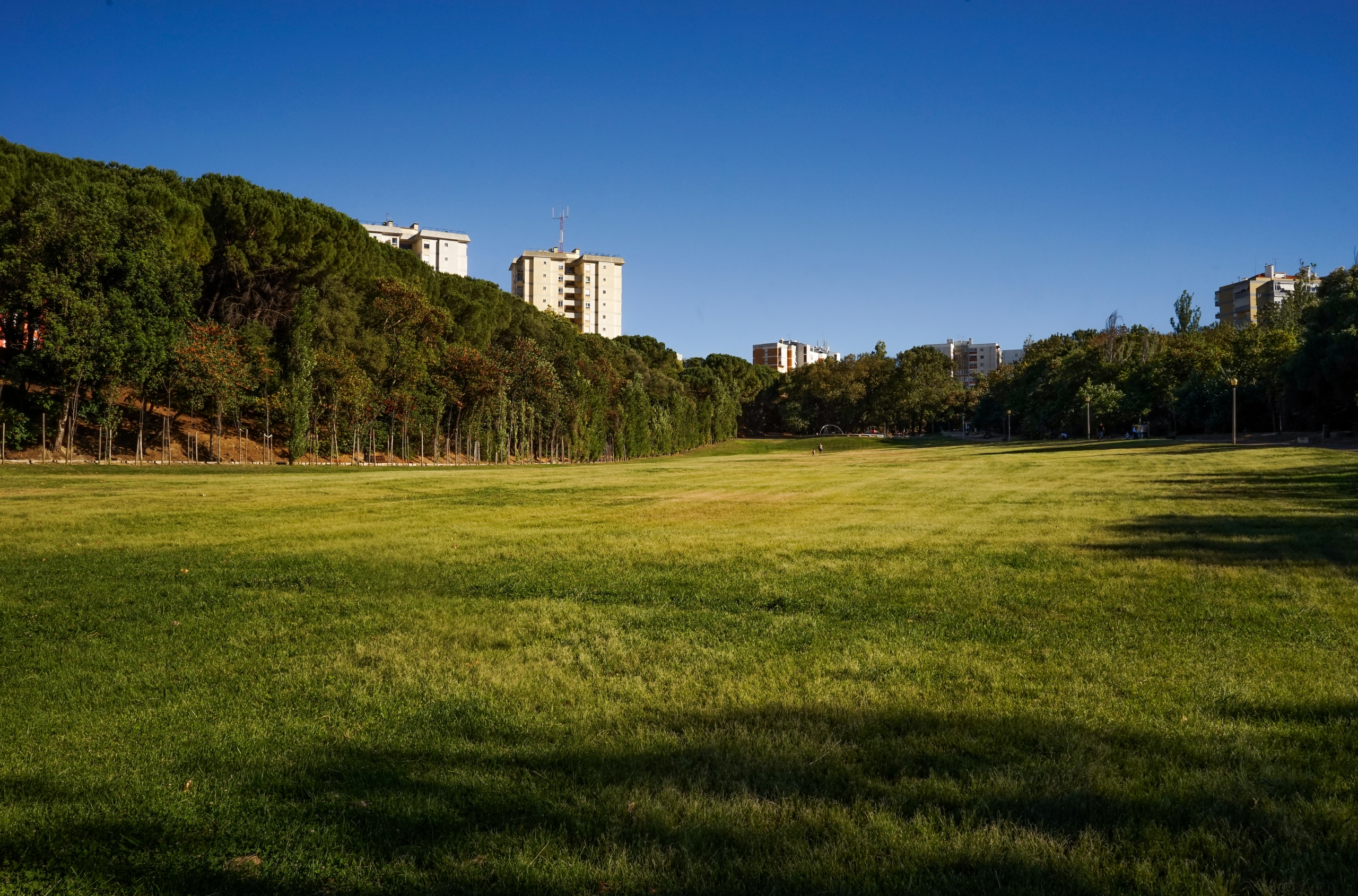 No Parque do Vale do Silêncio, com Teresa Dias Mendes | Antena 1 - RTP